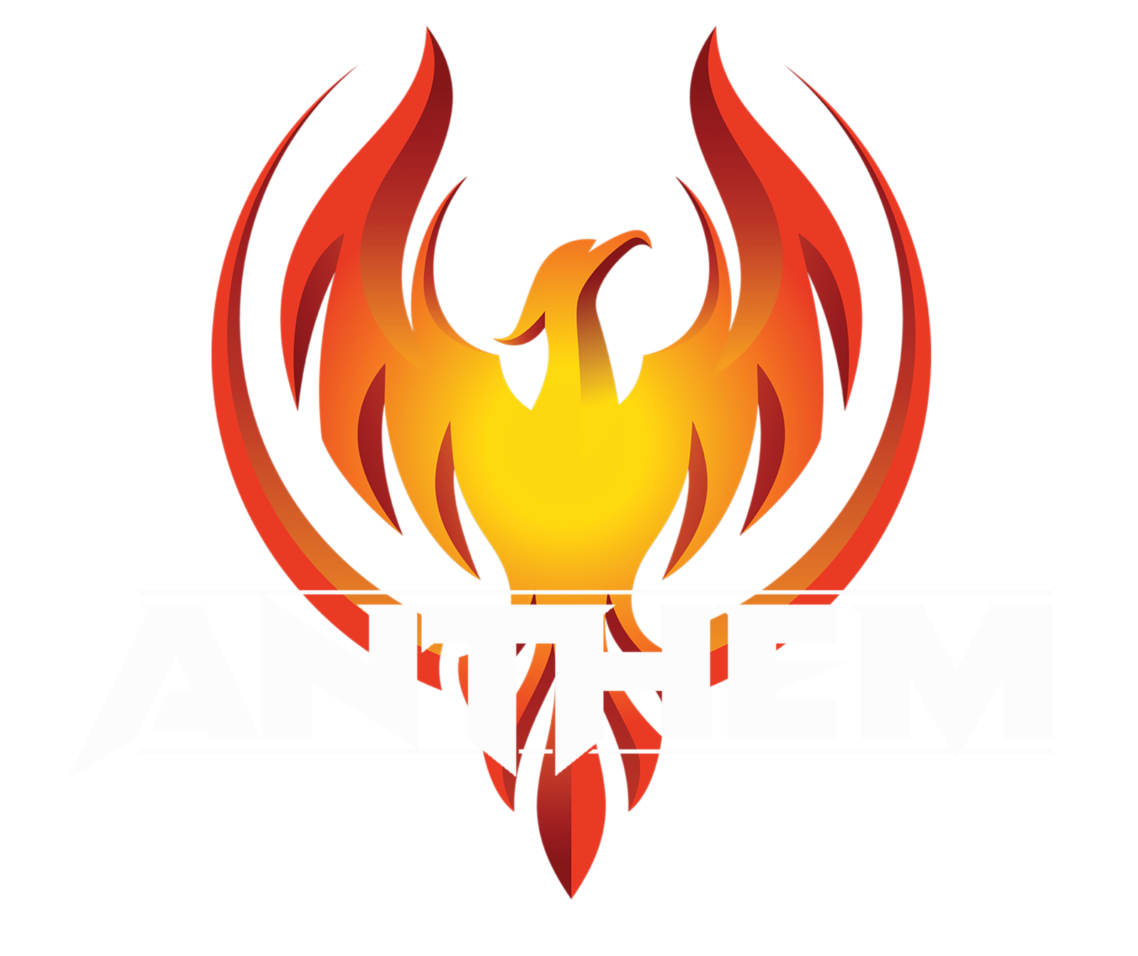 About Anthembandchicago About Anthembandchicago
